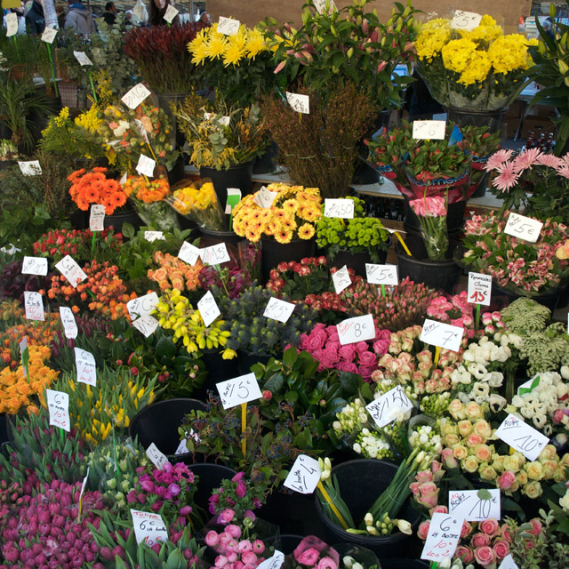 Paris flowers | Seldom Scene Photography